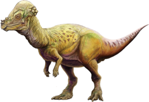 Pachycephalosaurus - Prehistoric 101