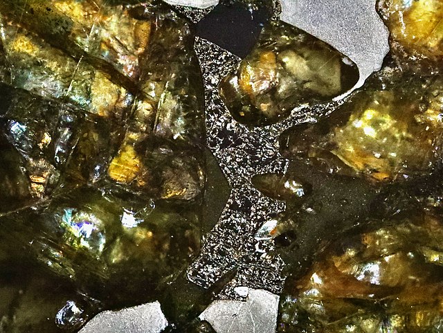 Pallasite Meteorites - Prehistoric 101