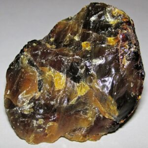 Amber Fossil - Prehistoric 101