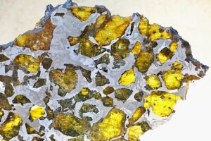 Pallasite Meteorites - Prehistoric 101